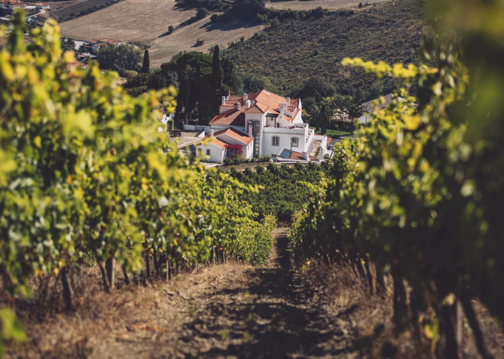 Quinta - Quinta de São Sebastião